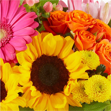 Nationwide Florist with Same-Day Delivery | Harris Teeter–Harris Teeter